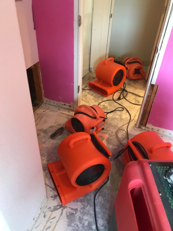 Water Damage in Laurel | Flooded Basement | Mold Removal | 45 Min ETA
